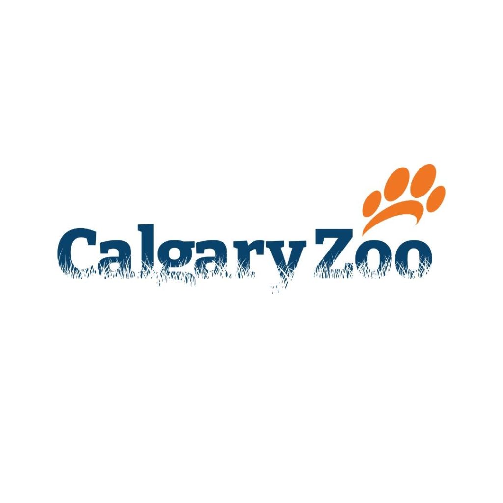 Definitive Guide To Calgary Zoo Facts, List Of Animals, Reviews And ...