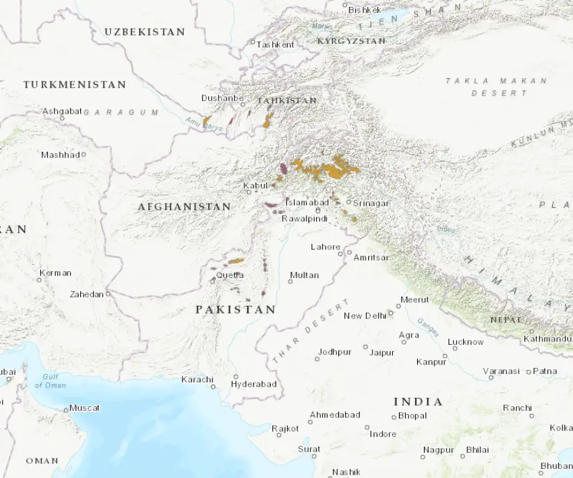 Bukharan Markhor - Zoo Guide