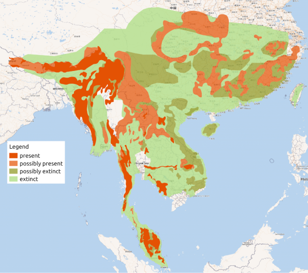 Definitive Guide To The Clouded Leopard: Understanding A Mysterious ...