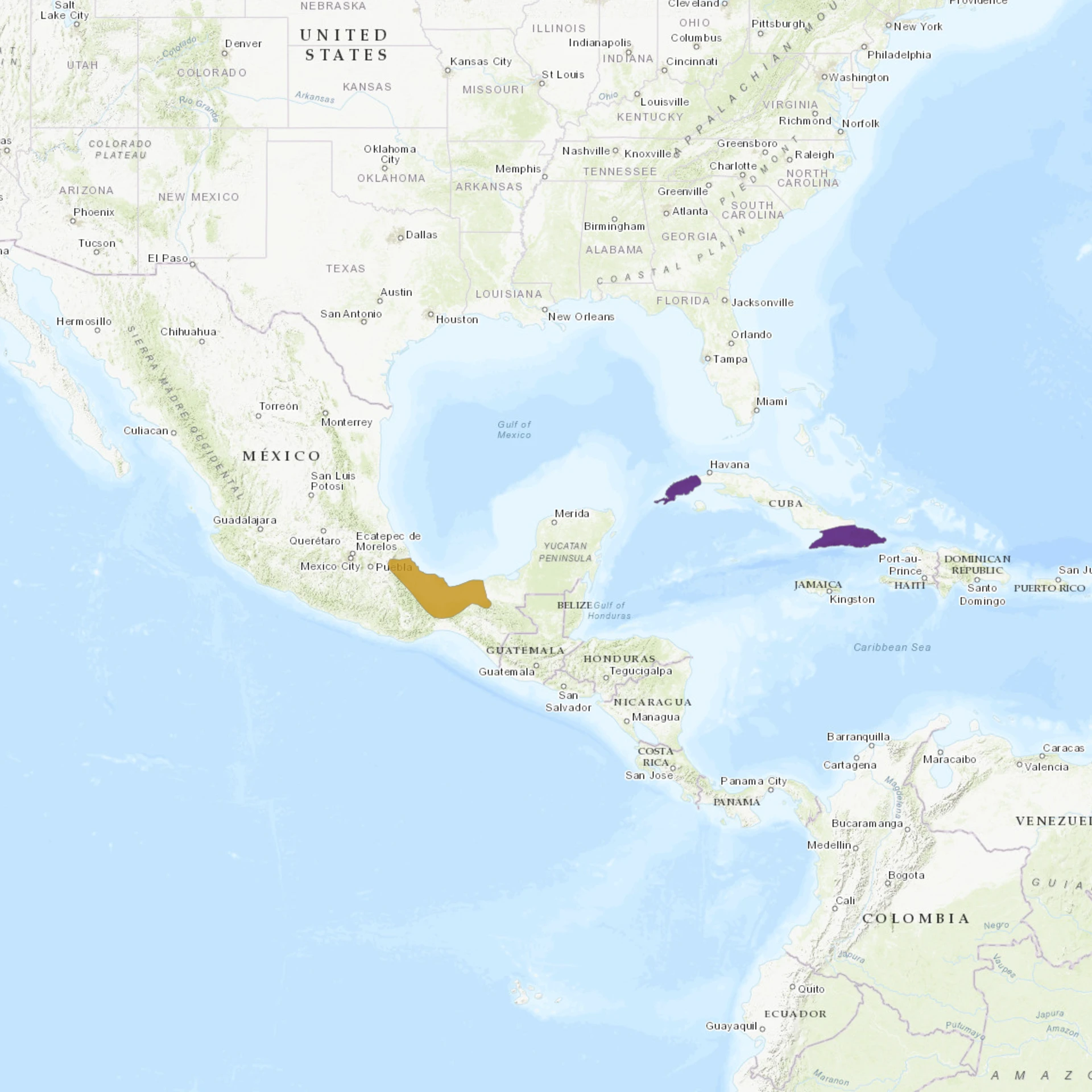 Definitive Guide To Mexican Agouti Facts, Habitat, Conservation Status ...