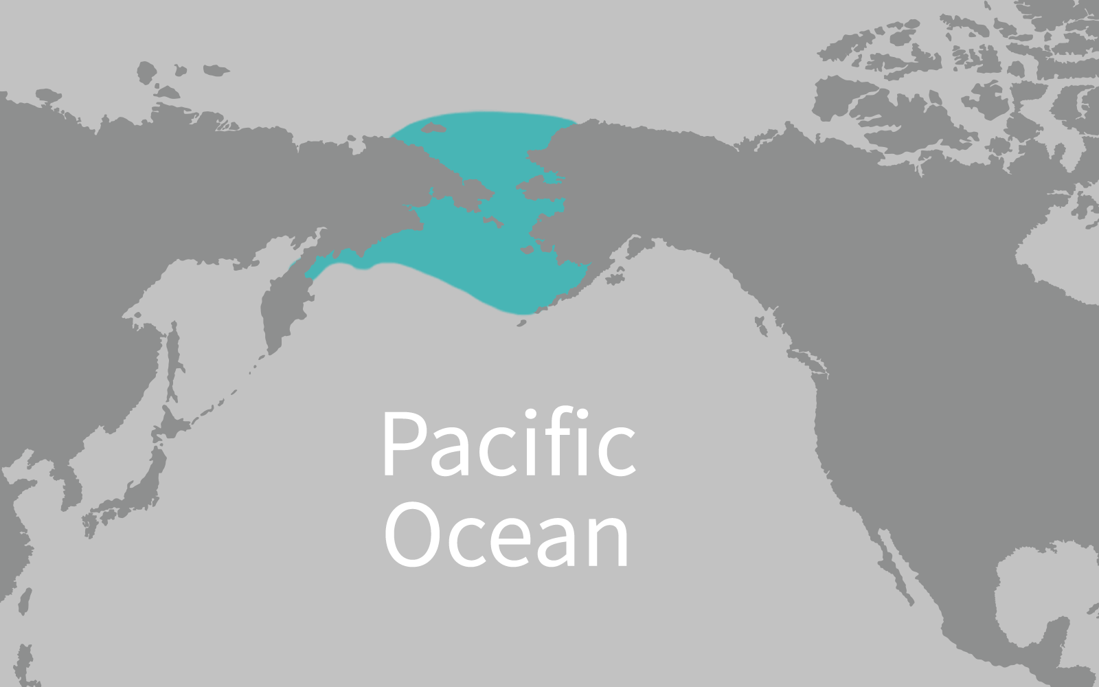 Pacific Walrus Facts, Habitat, Conservation Status, Zoo Populations ...