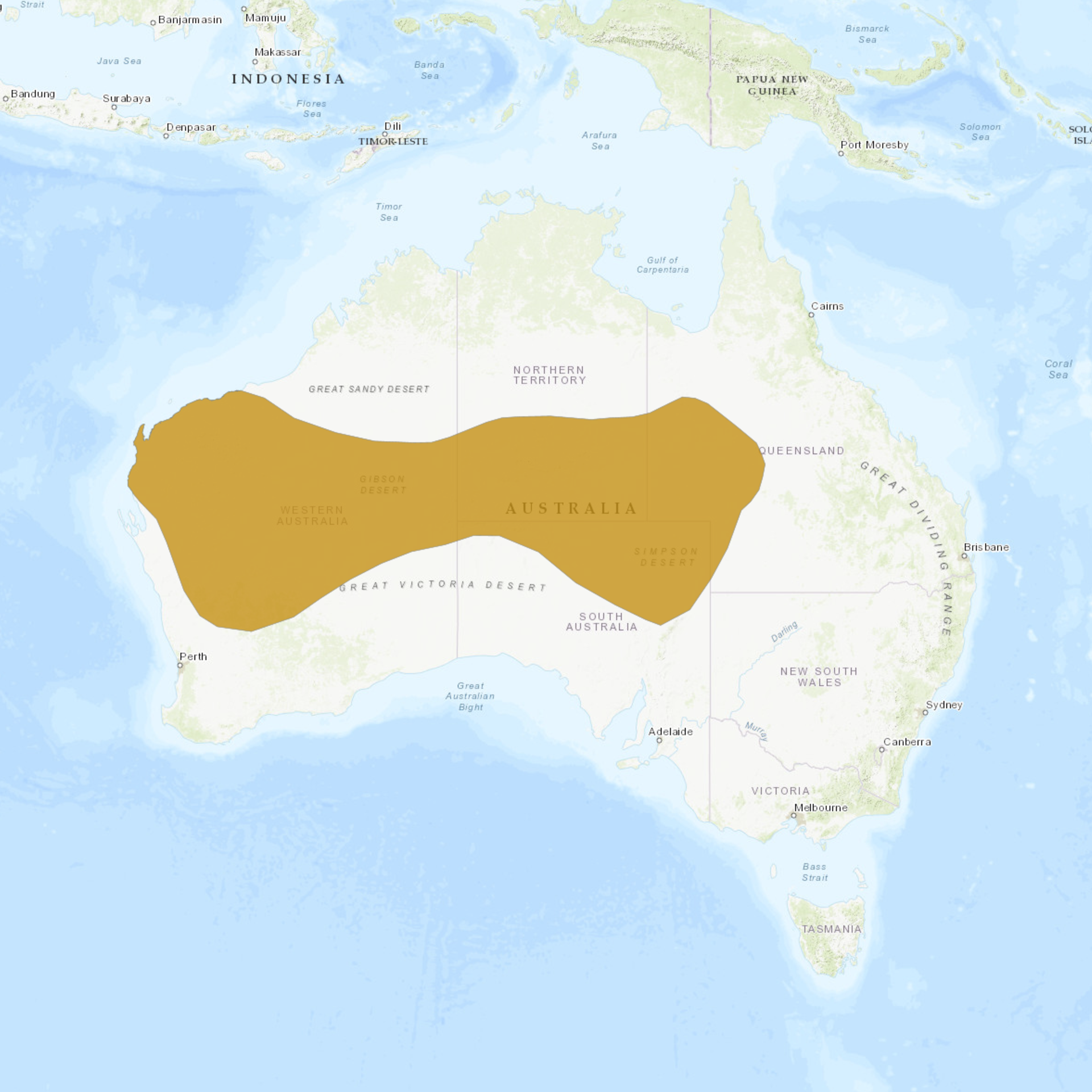 Definitive Guide To Perentie Facts, Habitat, Conservation Status, Zoo ...