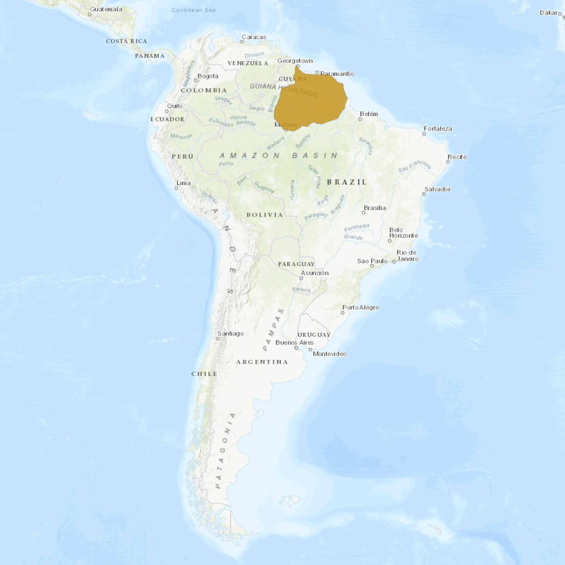 Definitive Guide To Red-Faced Spider Monkey Facts, Habitat ...