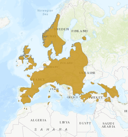 Red Deer - Zoo Guide