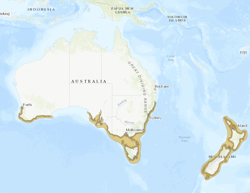 Little Penguin - Zoo Guide