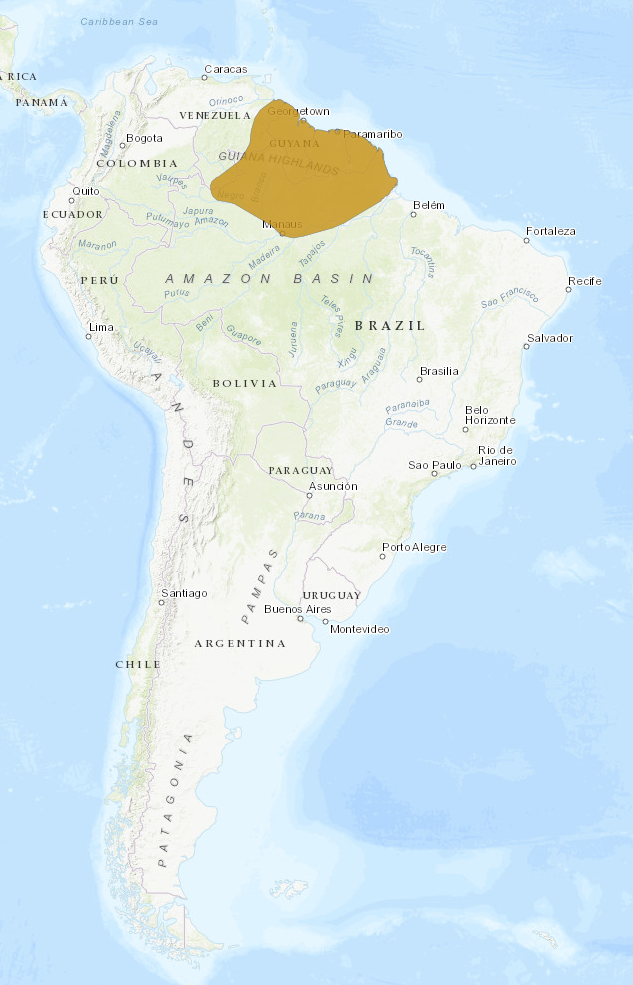 Emerald Tree Boa Facts, Habitat, Conservation Status, Zoo Populations ...