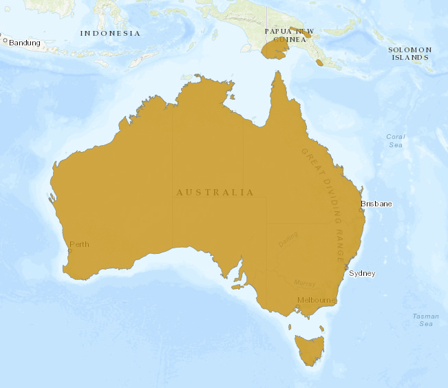 Short-beaked Echidna - Zoo Guide