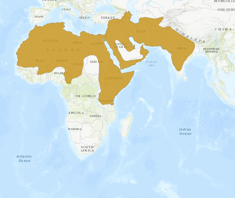 Definitive Guide To Striped Hyena Facts, Habitat, Conservation Status ...