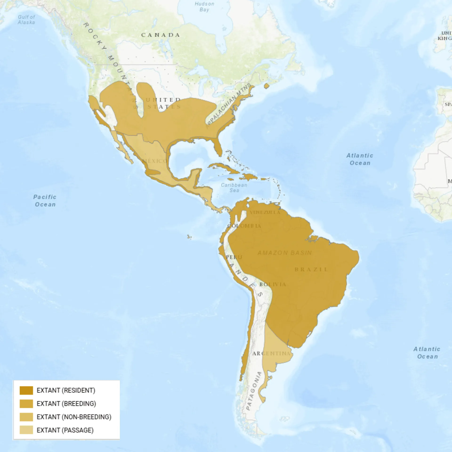 Definitive Guide To Snowy Egret Facts, Habitat, Conservation Status ...