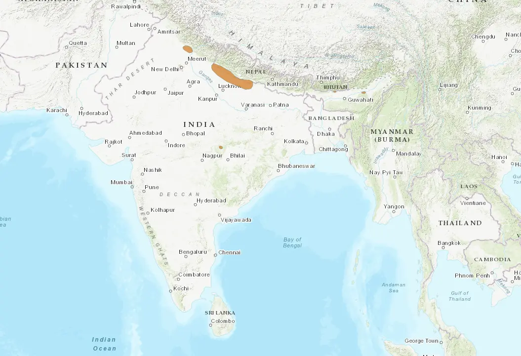 Barasingha - Zoo Guide
