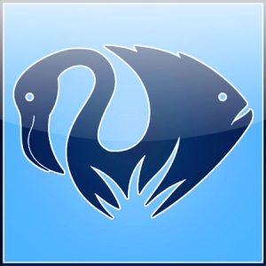 Definitive Guide To Bermuda Aquarium Facts, List Of Animals, Reviews And Pictures On Zoo-guide.com