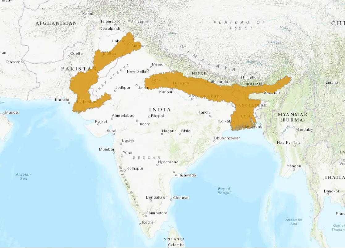 Spotted Pond Turtle - Zoo Guide