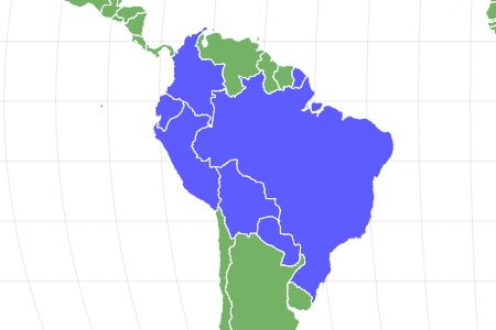 Northern Caiman Lizard - Zoo Guide