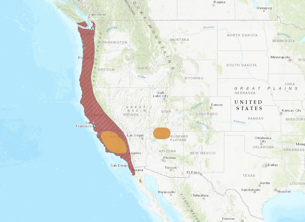 California Condor - Zoo Guide