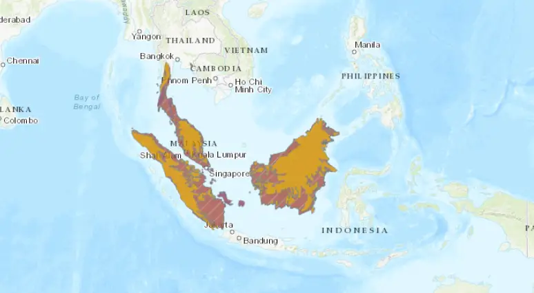 Crested Partridge - Zoo Guide