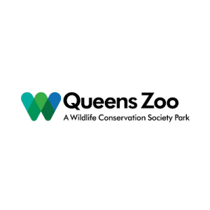 Definitive Guide To Queens Zoo Facts, List Of Animals, Reviews And ...