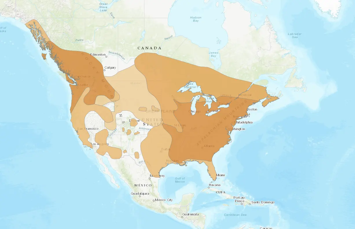 Hooded Merganser - Zoo Guide