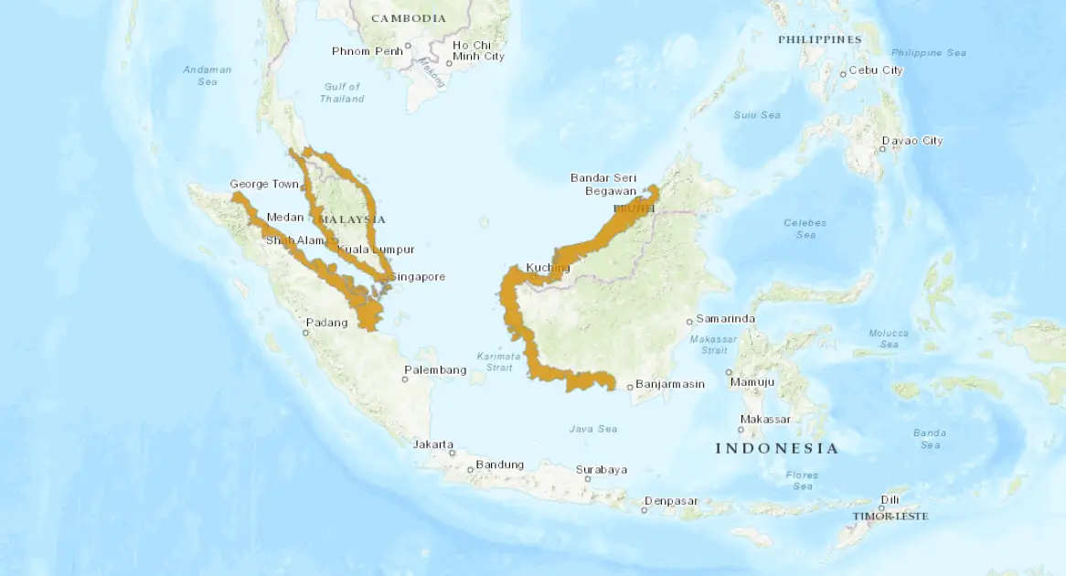 Painted Terrapin - Zoo Guide