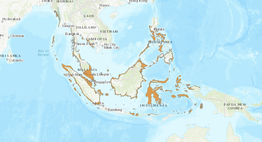 Pied Imperial Pigeon - Zoo Guide