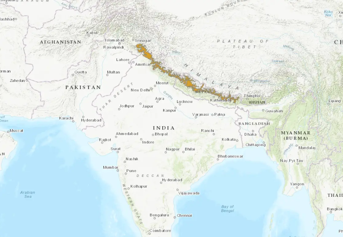 Himalayan Tahr - Zoo Guide