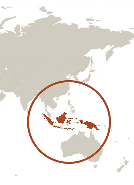 Victoria Crowned Pigeon - Zoo Guide