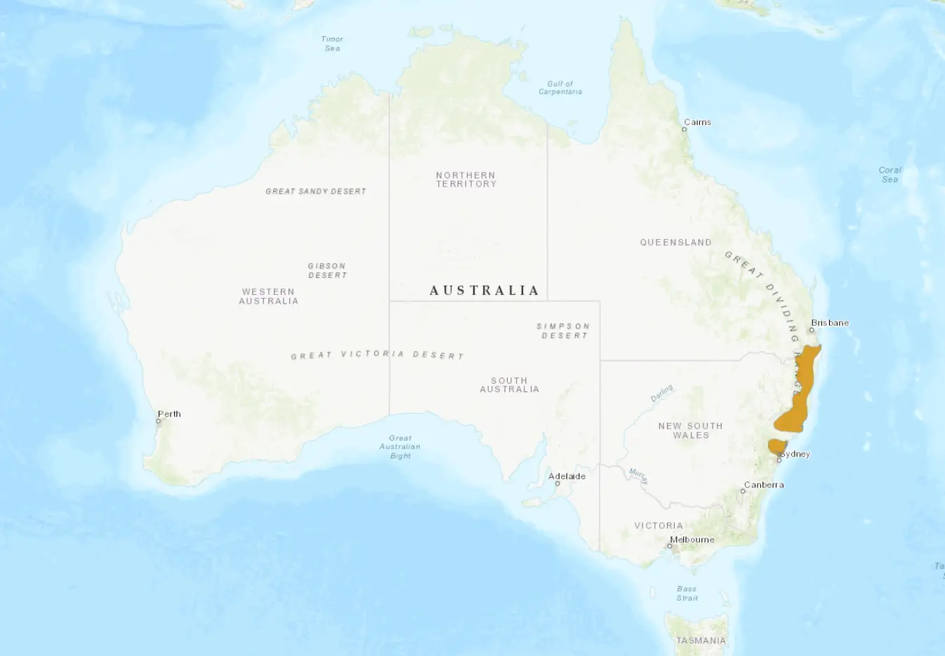 Parma Wallaby - Zoo Guide