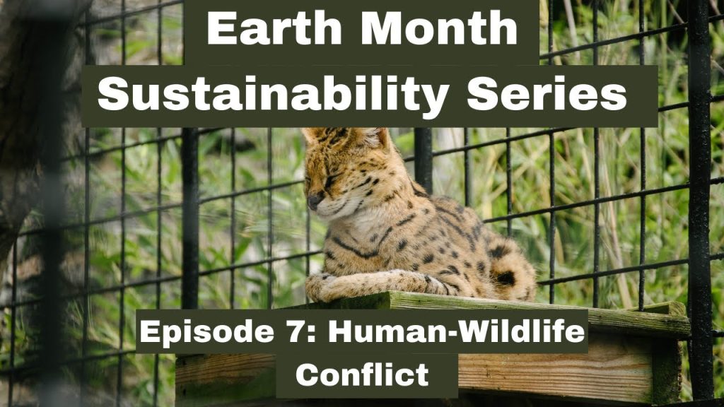 Ep. 7: Human-Wildlife Conflict - Brandywine Zoo Zoo Guide