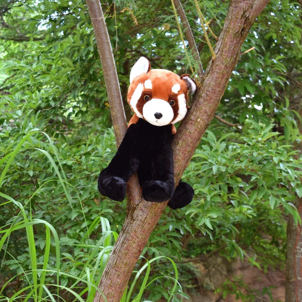 Animal Escape Drills: Witness Our Staff In Action! - Zoos - USA - Ohio ...
