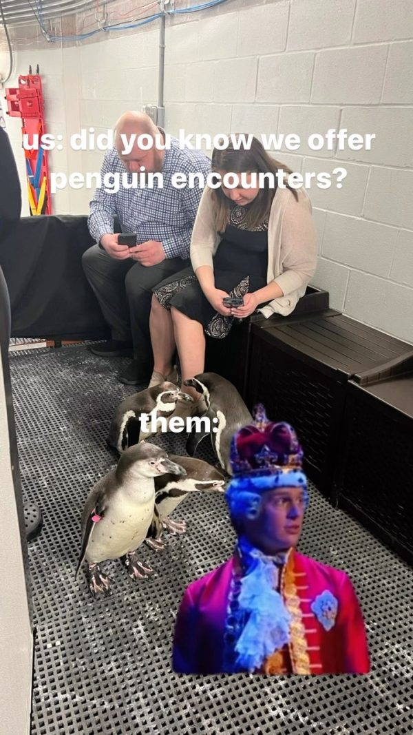 Meet Penguins at the Aquarium! Join us for an unforgettable experience ...