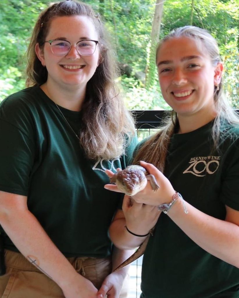 Happy National Intern Appreciation Day: Shoutout To Our Amazing Interns ...