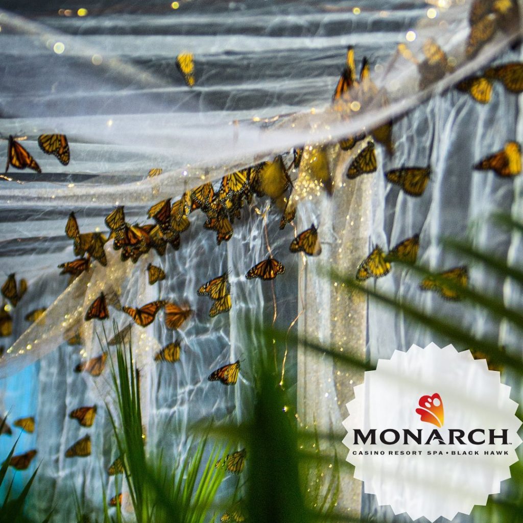 Experience The Enchantment Of Live Monarch Butterflies - Butterfly ...