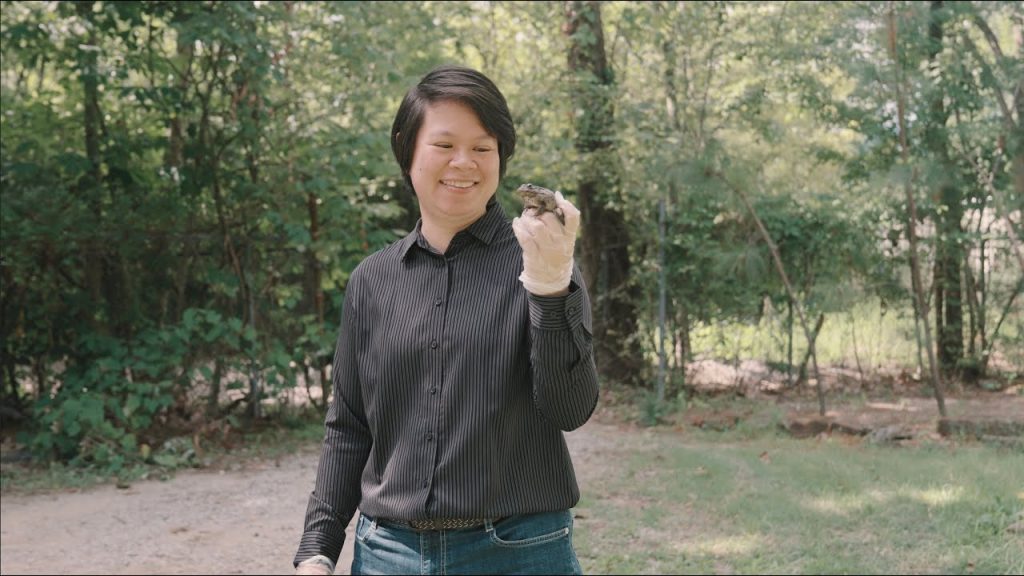 Conservation Effort Yields Results For Endangered Species - Memphis Zoo ...