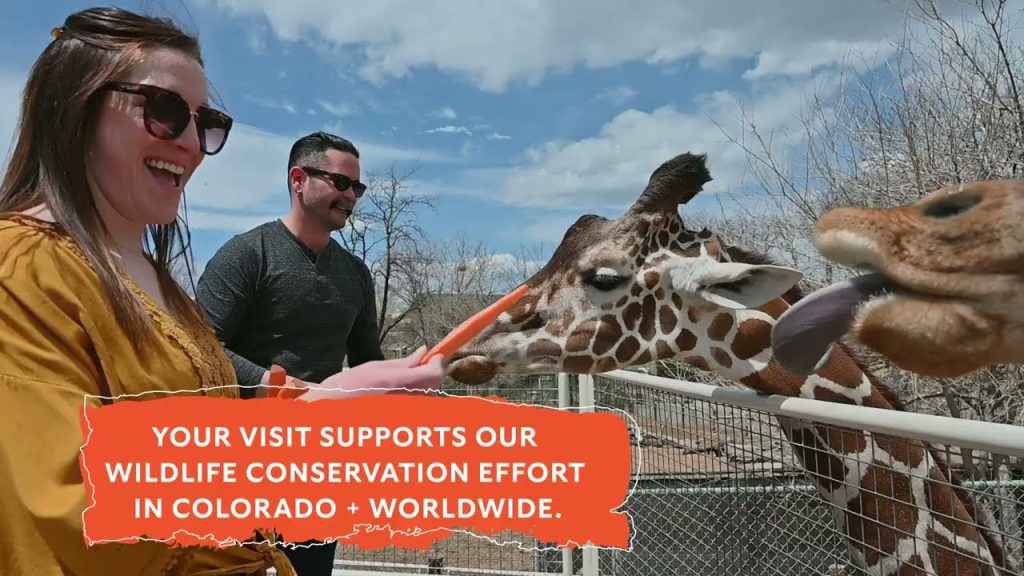 Together For Wildlife: Uniting To Protect Nature - Zoos - USA ...