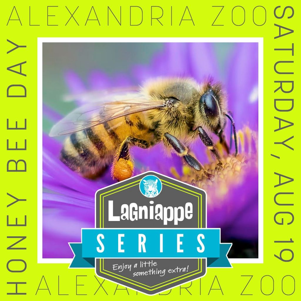 Explore the Enchanting World of Honey Bees at the Zoo's Honey Bee Day ...