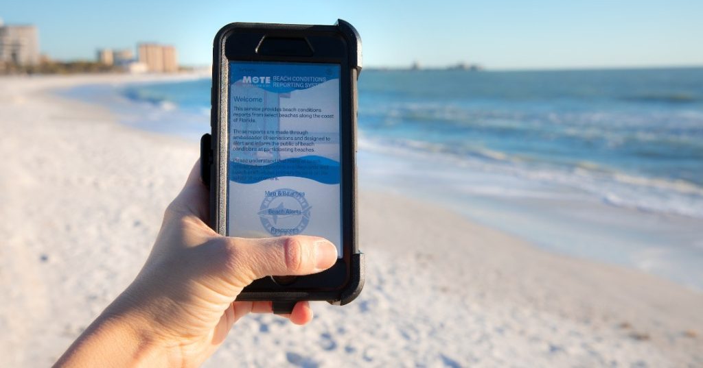 Mote's Introduction Of Beach Conditions Reporting System (BCRS) - Mote Marine Laboratory And ...