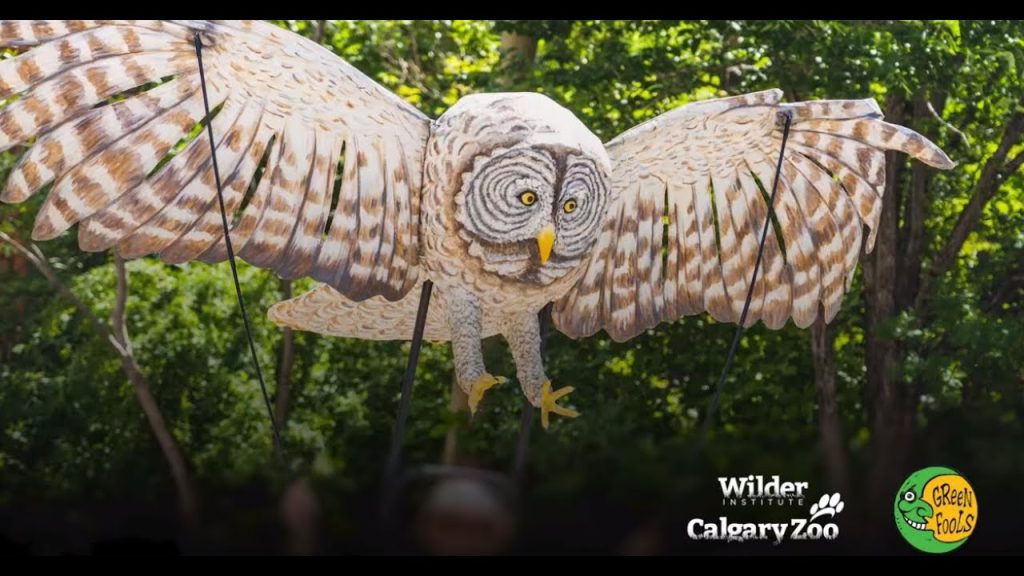 Wildlife Parade Showcases Conservation At The Zoo! - Calgary Zoo Zoo Guide