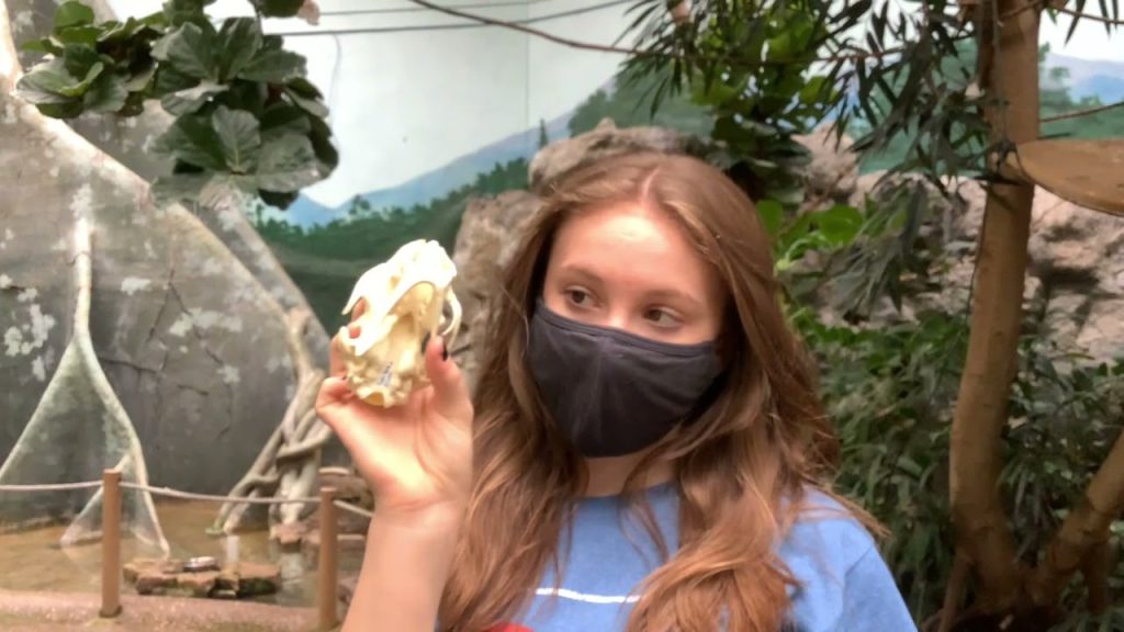 Virtual Rainforest Tour - Zoo Guide