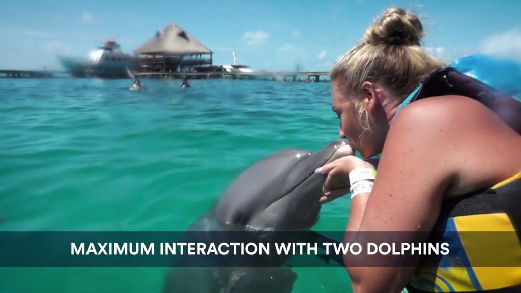Royal Swim with Dolphin Discovery - Zoo Guide