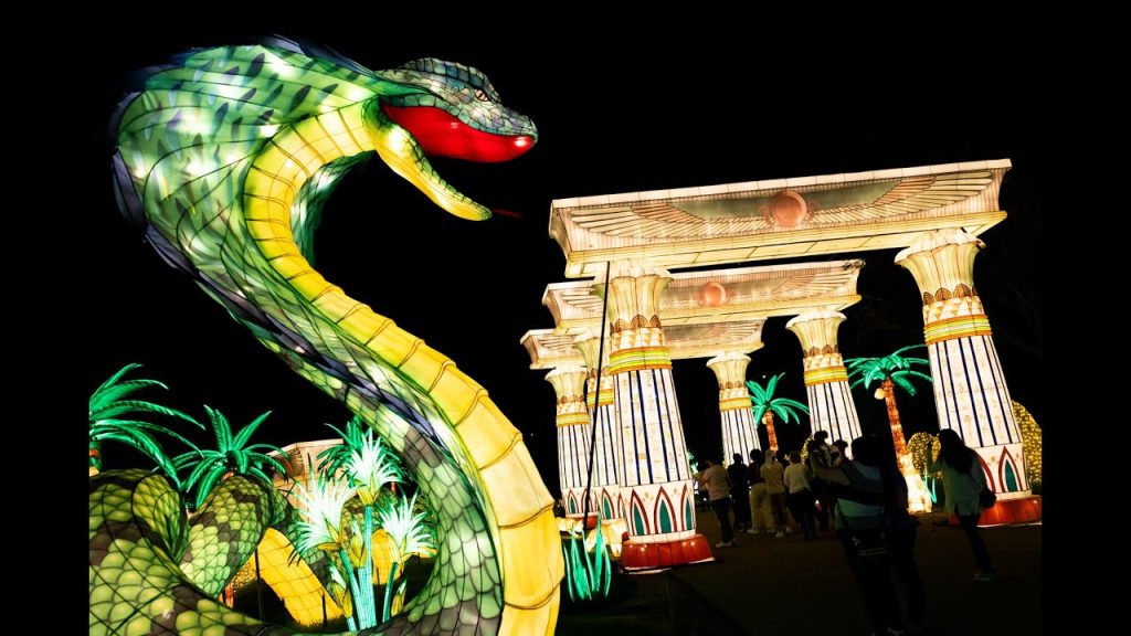 Boston Lights: Unseen Brilliance - Franklin Park Zoo Zoo Guide