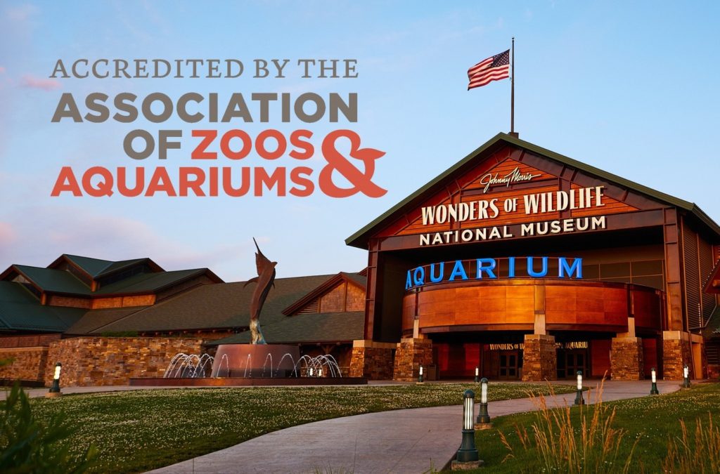 Long Process Pays Off - Wonders Of Wildlife Zoo Guide