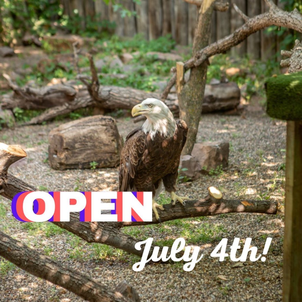 Attention Guests: Open Tomorrow, July 4th! Celebrate The Holiday ...