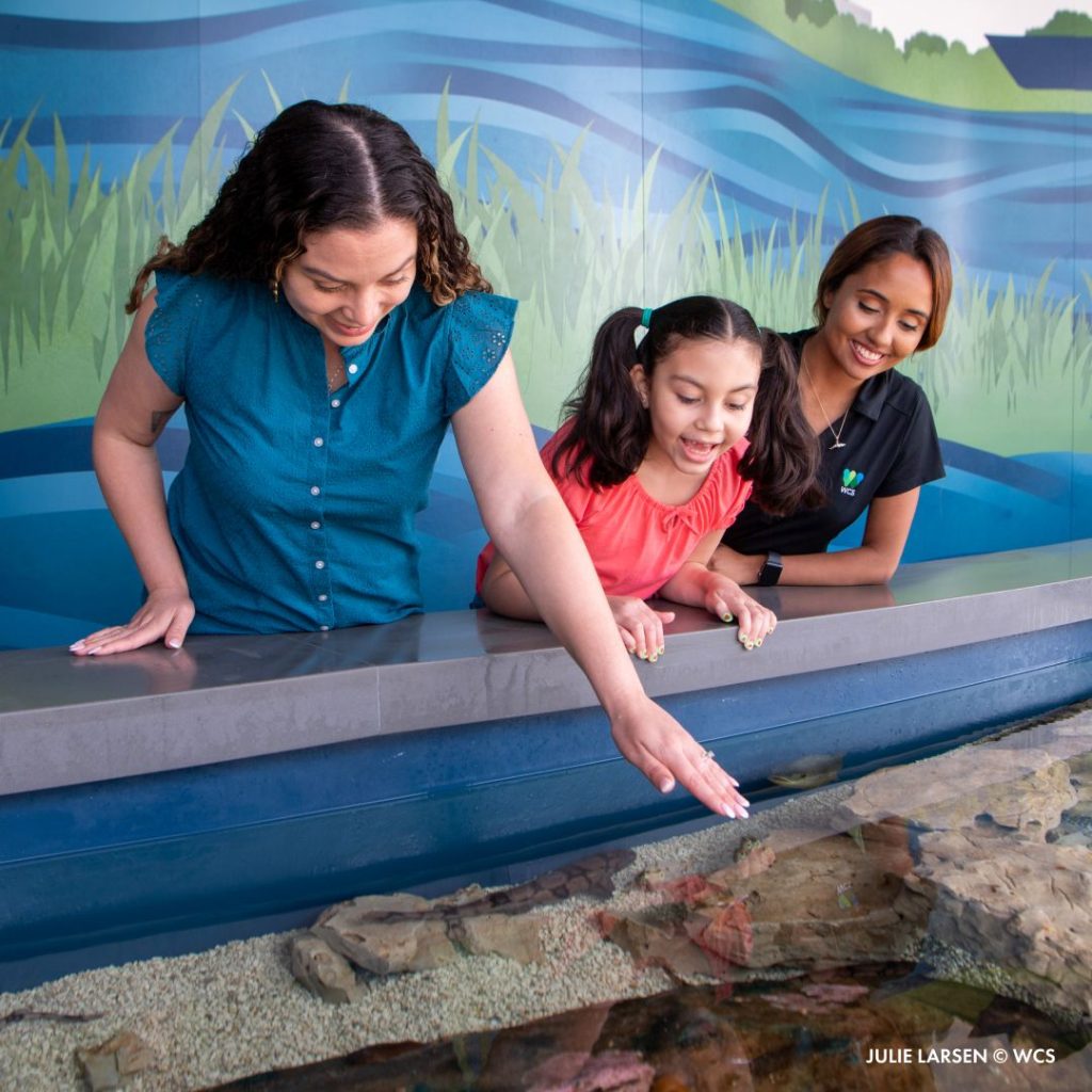 VIP Animal Experience: Go Behind The Scenes At O - New York Aquarium ...