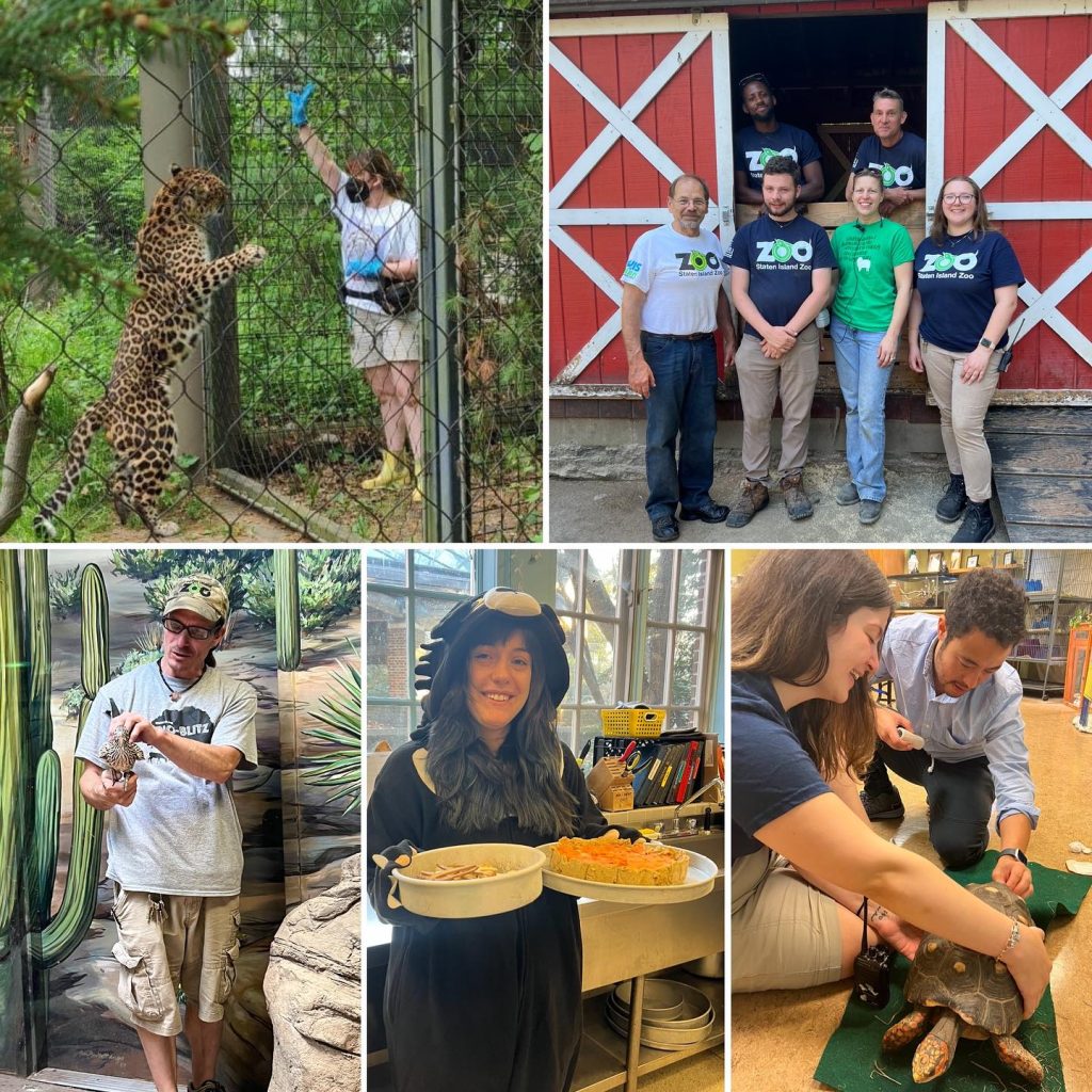 Thank You To Zookeepers As National Zookeeper Week Ends - Staten Island ...