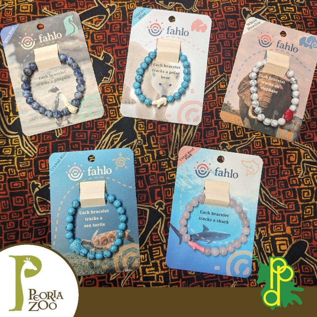 Exciting Merchandise At Safari Gift Shop In The Zoo - Peoria Zoo Zoo Guide