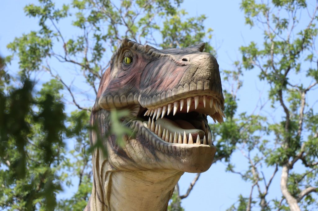 Q: Which Dinosaur Can Jump Higher Than A House? A: All Of Them - Zoos ...