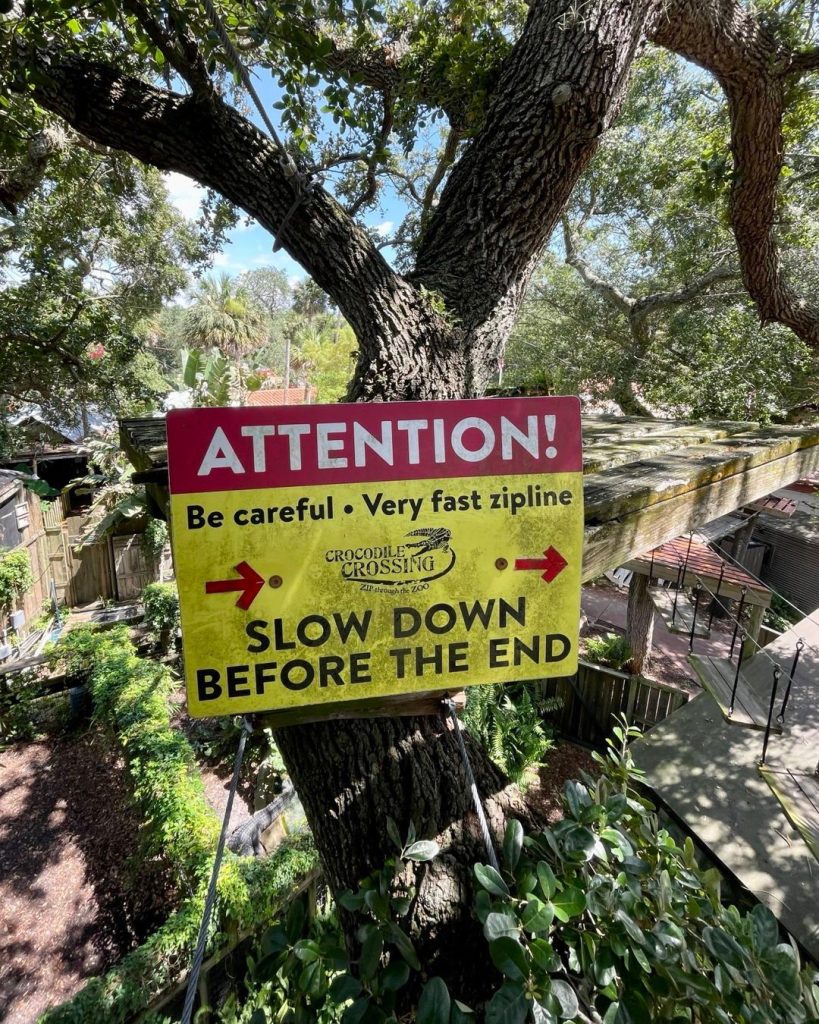 Climb through Obstacles for a Unique Zoo Experience! - Zoo Guide