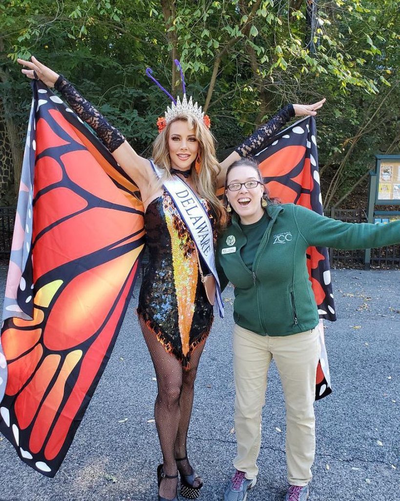 Mighty Monarch Day: Monarchs In DE, 9/30 - Brandywine Zoo Zoo Guide