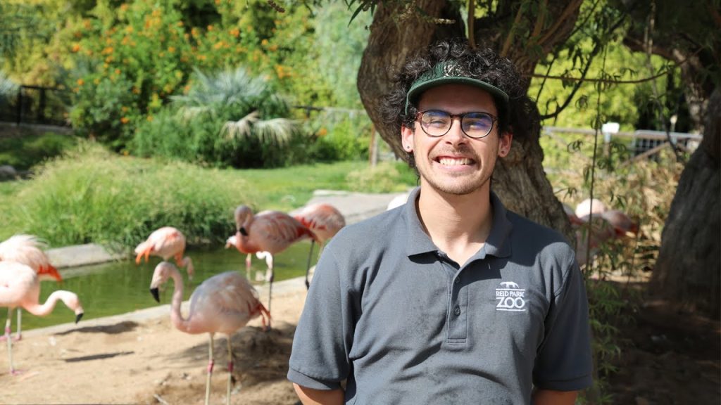 Reid Park Zoo Tour With Luis: Customer Service Week - Zoos - USA ...