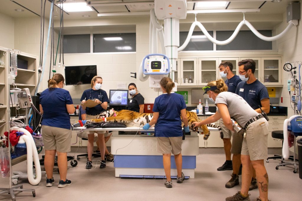 Houston Zoo Honors Vet Techs - Zoos - USA - Texas - Houston Zoo Zoo Guide