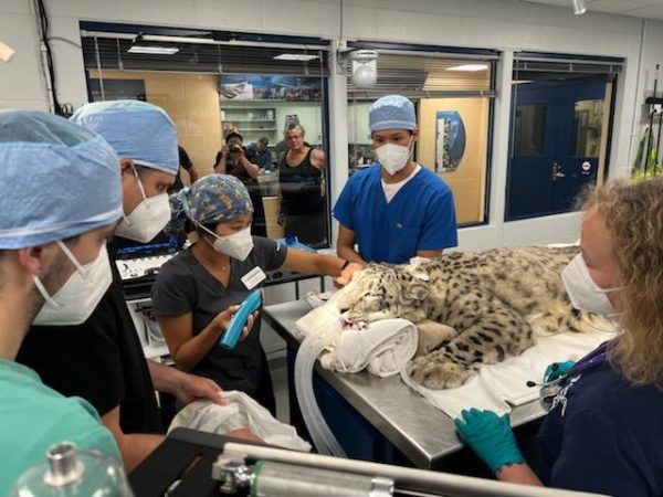 National Vet Tech Week – Appreciation Post! - Zoos - USA - New York ...